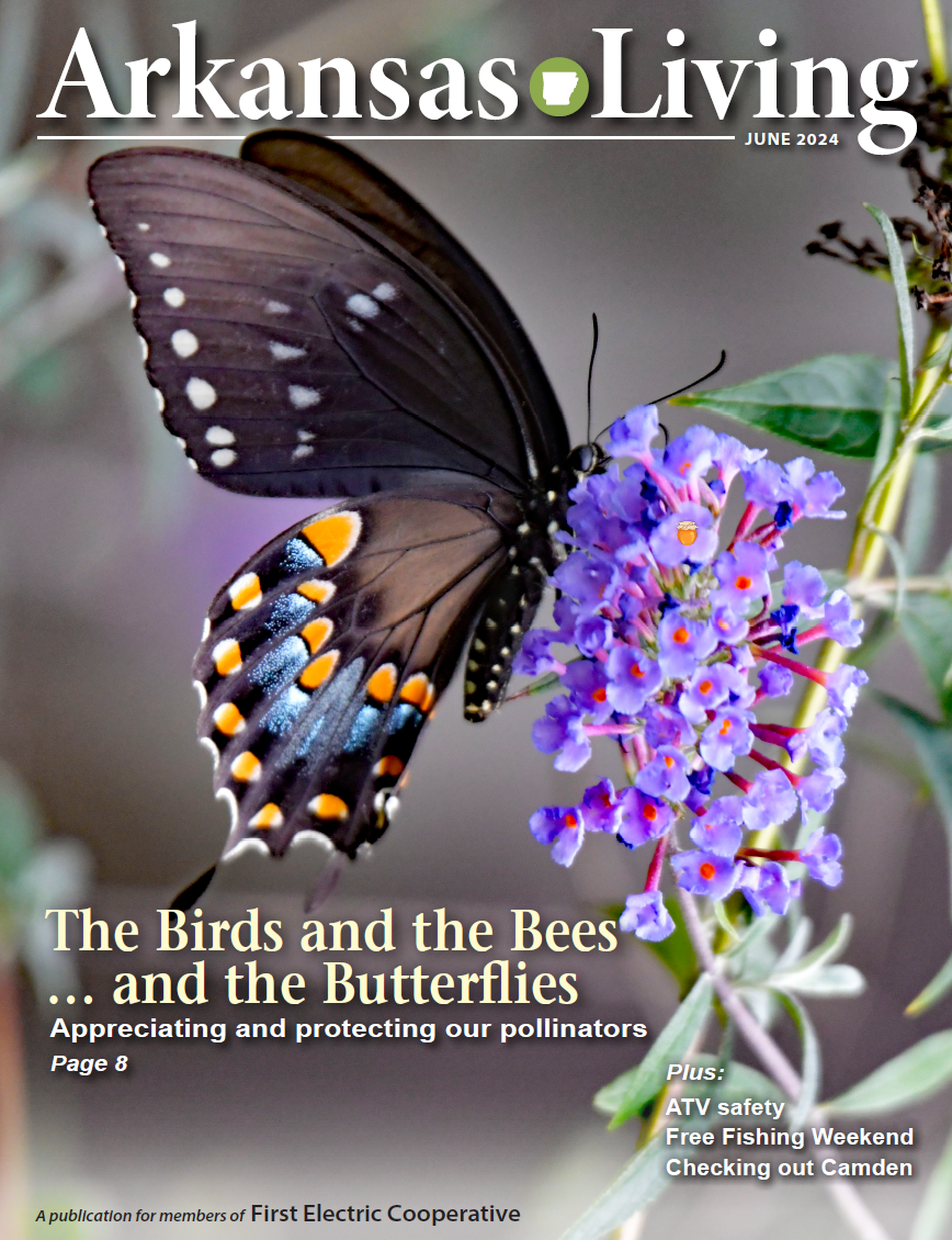 Ouachita Electric Cooperative